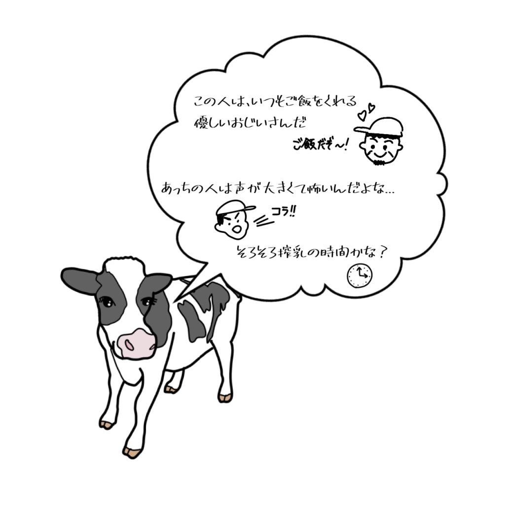 牛っておっとりしてる？実はすごい生き物なんです | 株式会社TK-Lab.Ambition