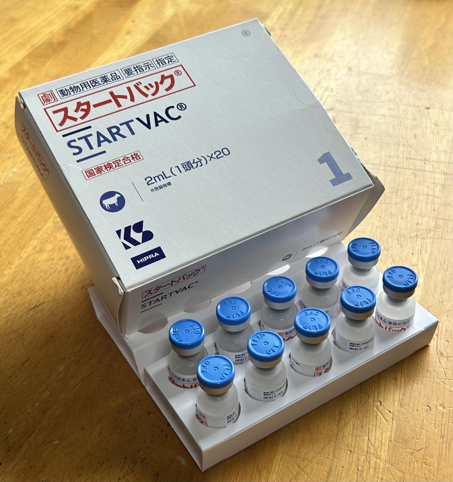 STARTVAC：スタートバック | 株式会社TK-Lab.Ambition